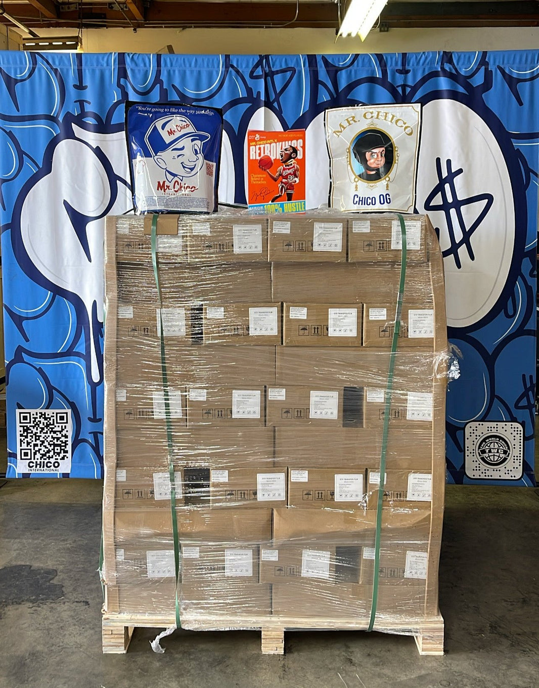 All – Chico International