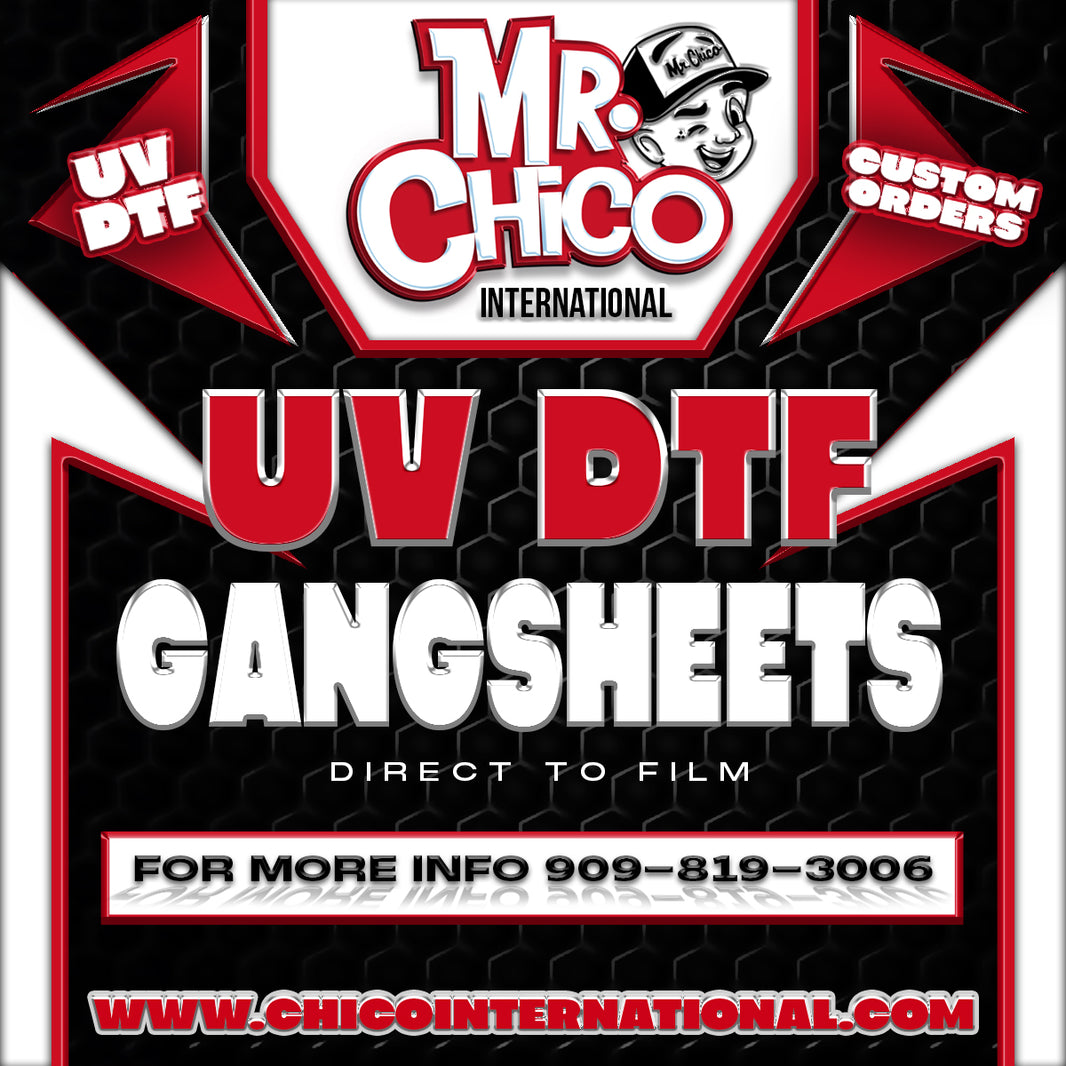 All – Chico International